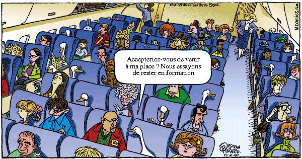 Bric-à-brac d'humour : Rester en formation